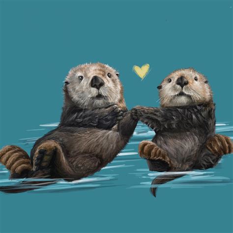 River Otter Holding Hands Hands On Experience With An Otter Raww