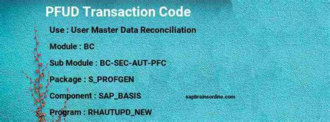 Pfud Sap Tcode For User Master Data Reconciliation