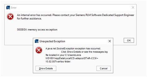 memory access exception