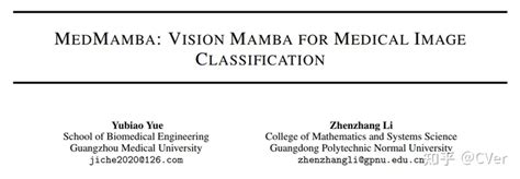 mamba再下一城！medmamba：医学图像分类的视觉mamba mambadataset csdn博客