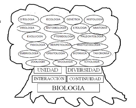 Biologia 1 Segundo Semestre Ramas De La Biologia