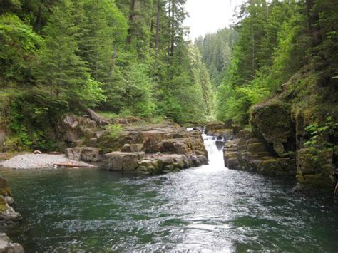 1 Brice Creek Swimming Holes Oregon Oregon Swimming
