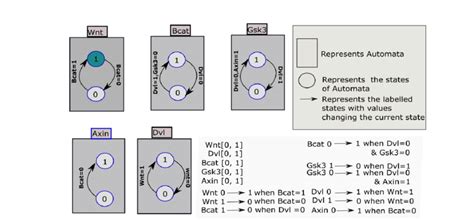 Represents The Transition Graph And Schematic Of Automata Network