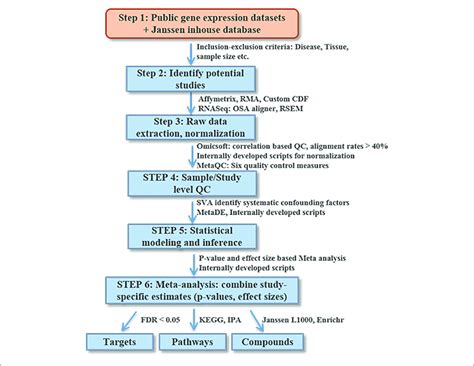An Illustrative Diagram Of The Workflow For Meta Analysis Of Download Scientific Diagram