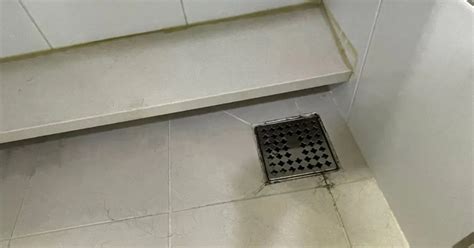 전 세입자가 너무 더럽게 쓰고가서 들어가자마자 헉 했는데 4시간 넘게 잘 청소해주셔서 감사했습니다 힘드실텐데도 친절하게 응대해주셨고 특히 화장실 청결을 제일 중요하게