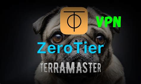 Terramaster установка Zerotier или как подключаться без белого адреса • Александр Linux