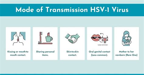 Is Herpes Simplex 1 Hereditary Basics Of Common Infection