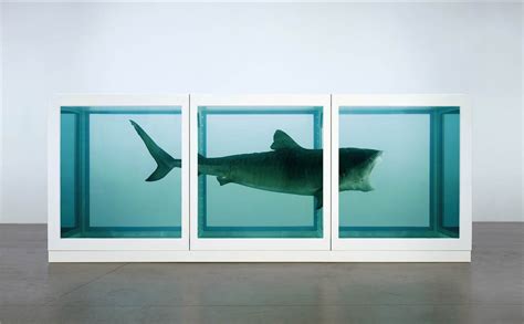 Why Did Damien Hirst Put A Shark In A Tank Thecollector