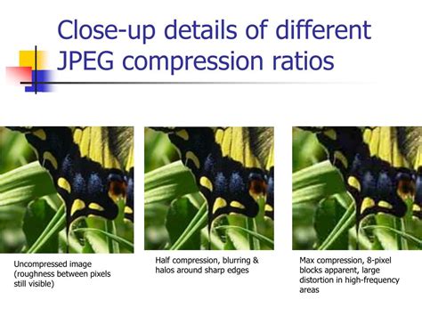ppt media compression techniques powerpoint presentation free