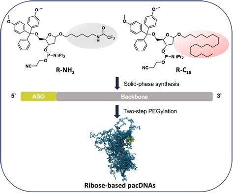 Bottlebrush Polymers With Sequence Controlled Backbones For Enhanced