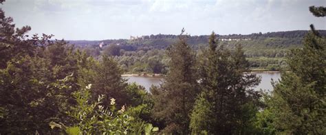 【ubuntu】虚拟机磁盘空间越用越少问题解决 知乎