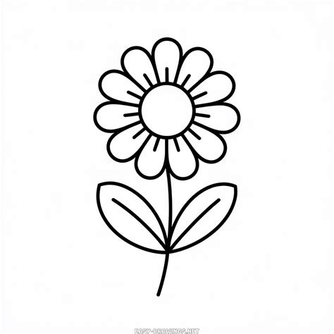 Basic Flower Easy Drawing Easy Drawings