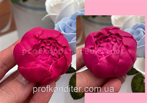 ЕКСКЛЮЗИВ Силіконовий Молд ЗД Півонія №3 продаж ціна у Запорізькій області Шоколадні