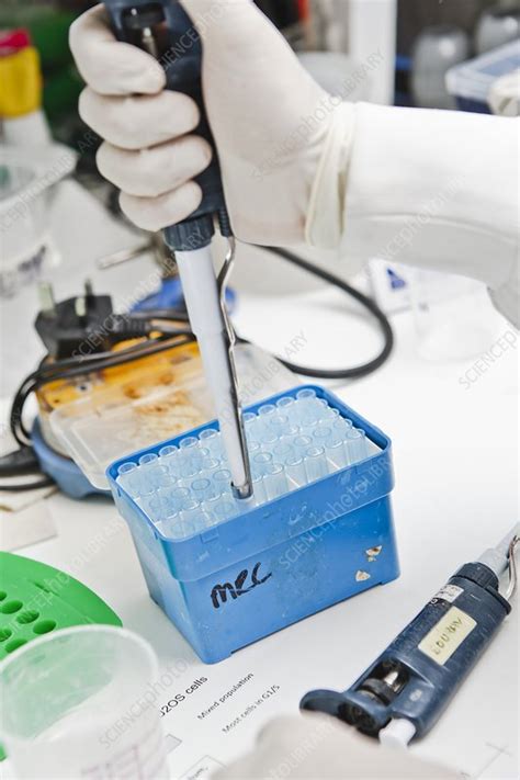 Kinase Profiling Stock Image C0132929 Science Photo Library