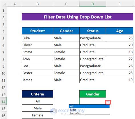 Using A VBA Code To Filter Data In Excel Examples ExcelDemy