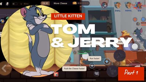 Little Kitten Tom And Jerry Youtube