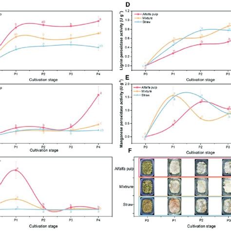 Enzyme Activity During Growth On Substrates A Cellullases Activity Download Scientific
