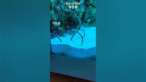 죽기살기로 꺾기춤 추게하네임영웅정원장어 Youtube