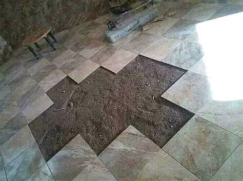 გააღვიძეთ თქვენი შინაგანი ბავშვი და იპოვეთ მეგობრული ძაღლი სურათზე