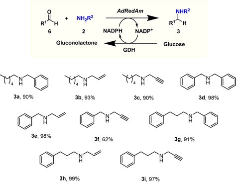 Adredam Reductive Amination Of Aldehydes Reaction Conditions Aldehyde