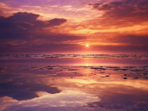 Download Ai Generated Beach Sunset Royalty Free Stock Illustration