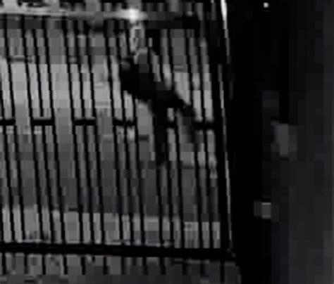 Serial Sex Attack Suspect Filmed Fleeing After Assaulting Second Woman In 5 Minutes Mirror Online