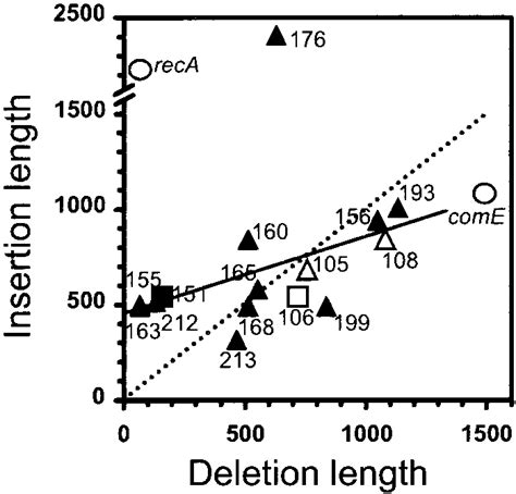 Correlation Diagram Of The Length Of Inserted And Deleted Segments Download Scientific Diagram