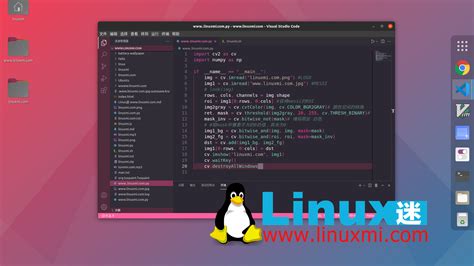 不喜欢 Visual Studio Code试试这 个替代应用程序 Linux迷
