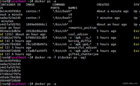 Docker之网络配置docker Run Network Host Csdn博客