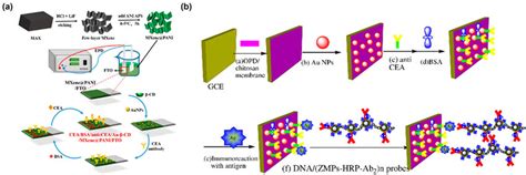 Several Electrochemical Sensors For Cea Detection A Pani Loaded
