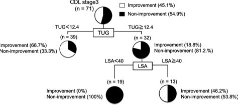 Decision Tree Analysis For Preoperative Factors Associated With The