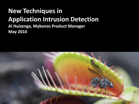 Pdf New Techniques In Application Intrusion Detection Dokumentips