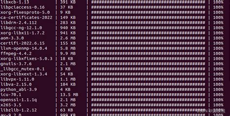 Ubuntu1804 下slowfast网络环境安装及模型测试 Python39no Module Named