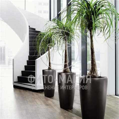 Кашпо Green Sun LIQUIDS LQ4381 купить в Санкт-Петербурге