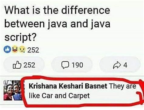 hamed moayeri on linkedin programmers coder vs javadeveloper
