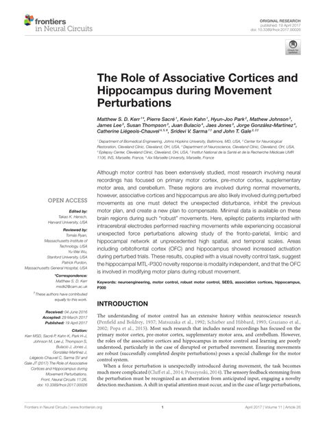 Pdf The Role Of Associative Cortices And Hippocampus During Movement
