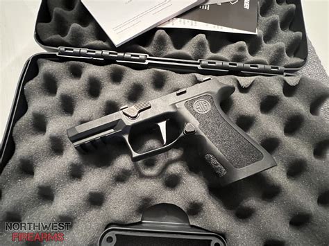 Sig Sauer P320 Fcu Fire Control Unit With Grip Module Northwest Firearms