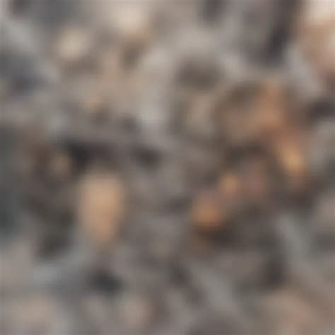 Comparative Analysis Of Aml And All In Hematology