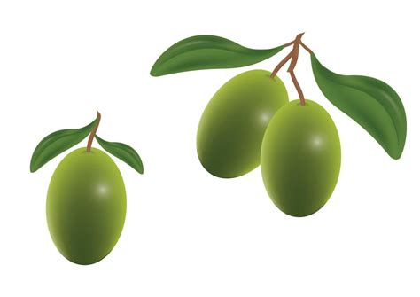 Clip Art Olive 200 Free Olive Clipart Images
