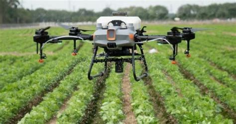Apa Itu Drone Sprayer Ini Fakta Menarik Yang Perlu Diketahui