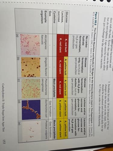 Biochemical Test Flashcards Quizlet