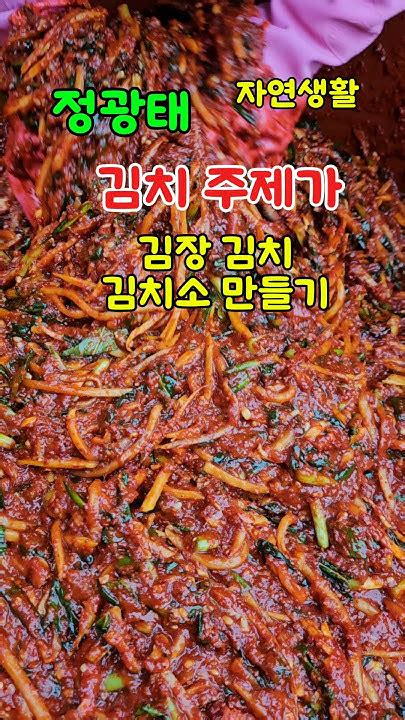 정광태김치 주제가김장 김치소 Shorts정광태김치 주제가김장 김치소 Youtube