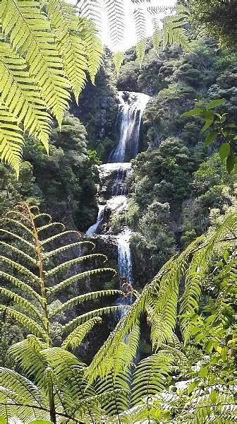 Visit Hamiltons Gap Bookmes Travel Guide For Hamiltons Gap New Zealand
