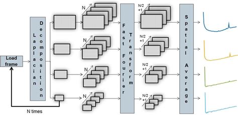 Average Frequency Content Scheme Left Spatial Filter Decomposition Download Scientific