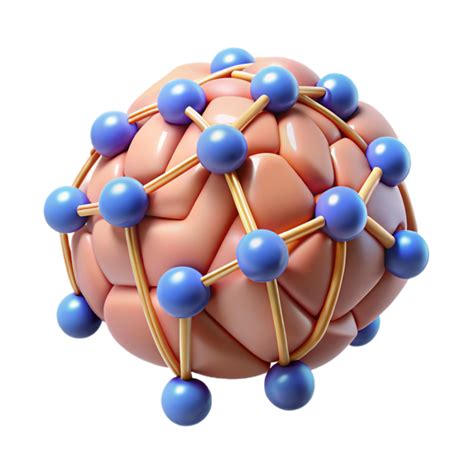 Extraordinary Classic Brain Network Connections And Cognitive Function