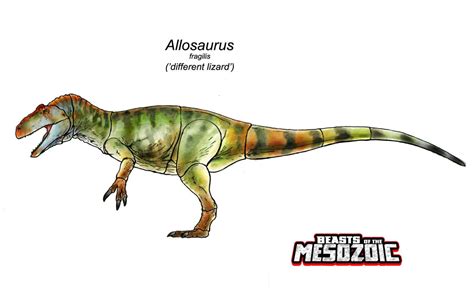Allosaurus