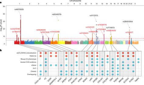 Gwas Meta Analysis Main Association Results And Gene Prioritization