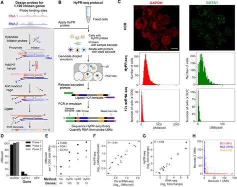 Hypr Seq Enables Single Cell Quantification Of Selected Rnas