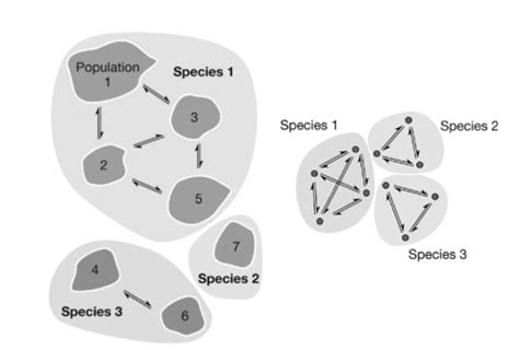 Bio Evolution Final Flashcards Quizlet