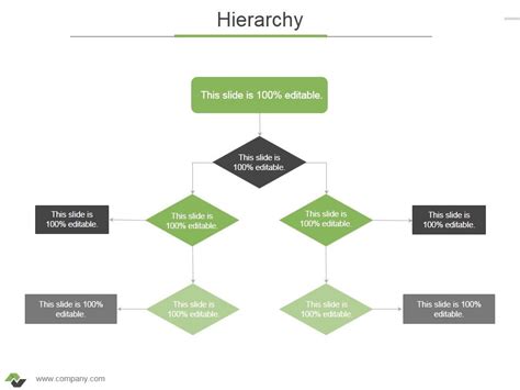 Hierarchy Ppt PowerPoint Presentation Styles Outfit